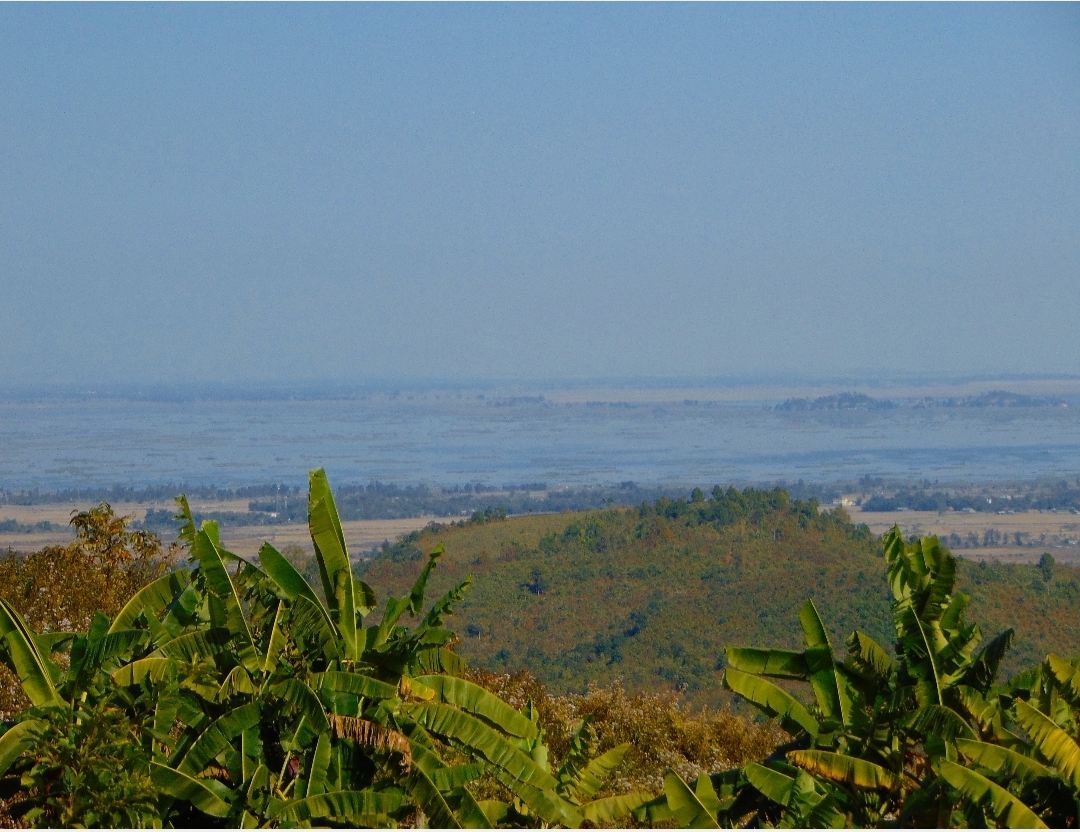 Eastern Manipur-Burma – IndianLandraceExchange